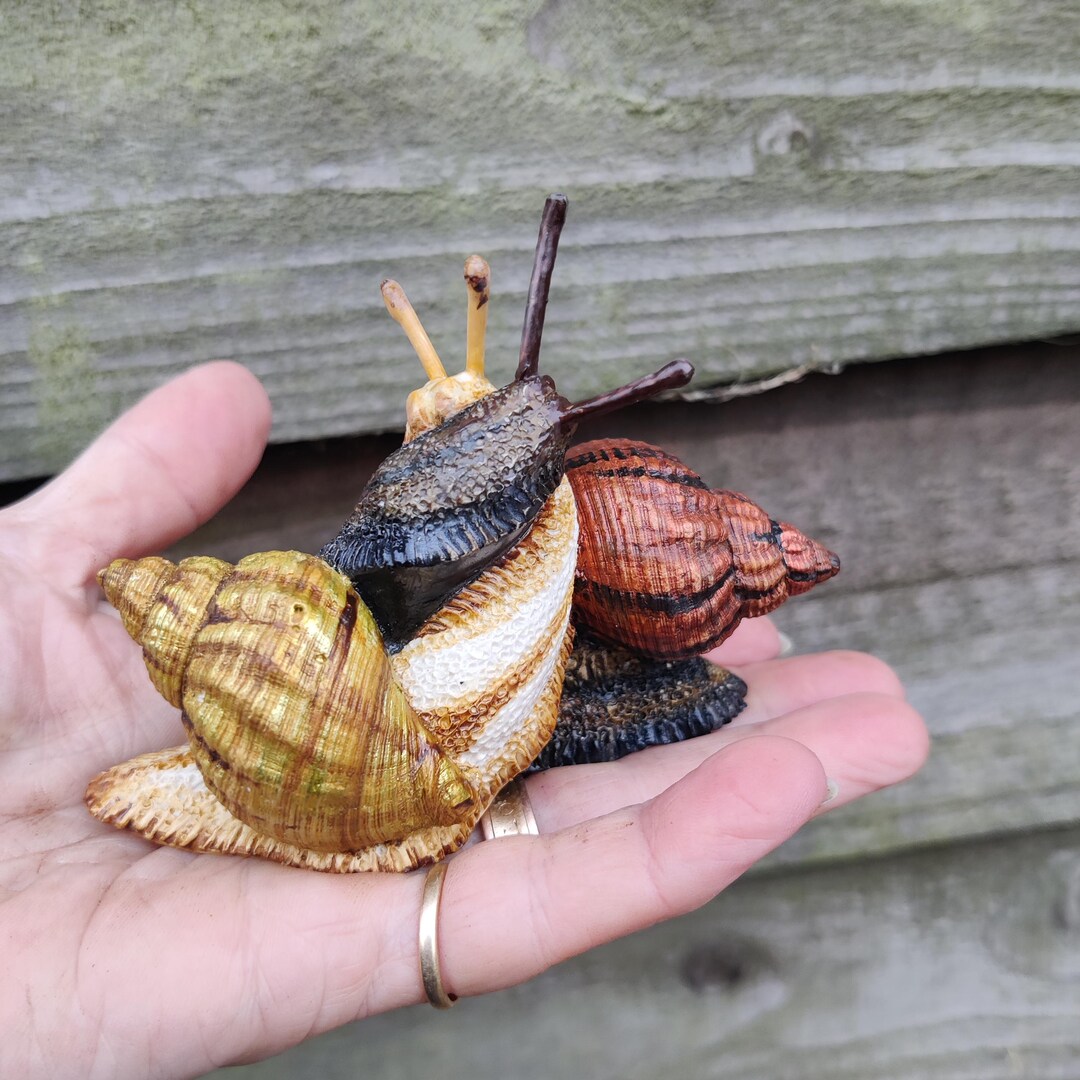 Snail Ballet Sculpture - Etsy