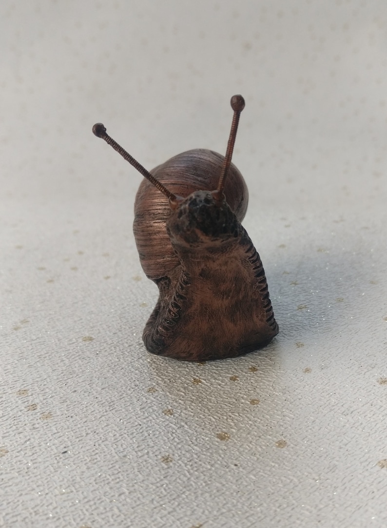 Middle Sized Snail - Etsy