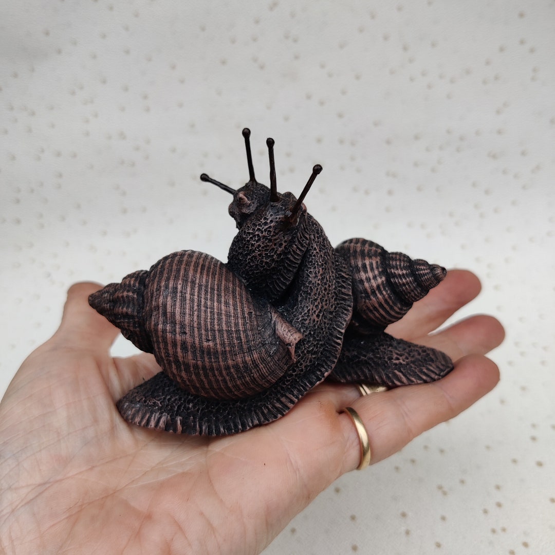Snail Ballet - Etsy