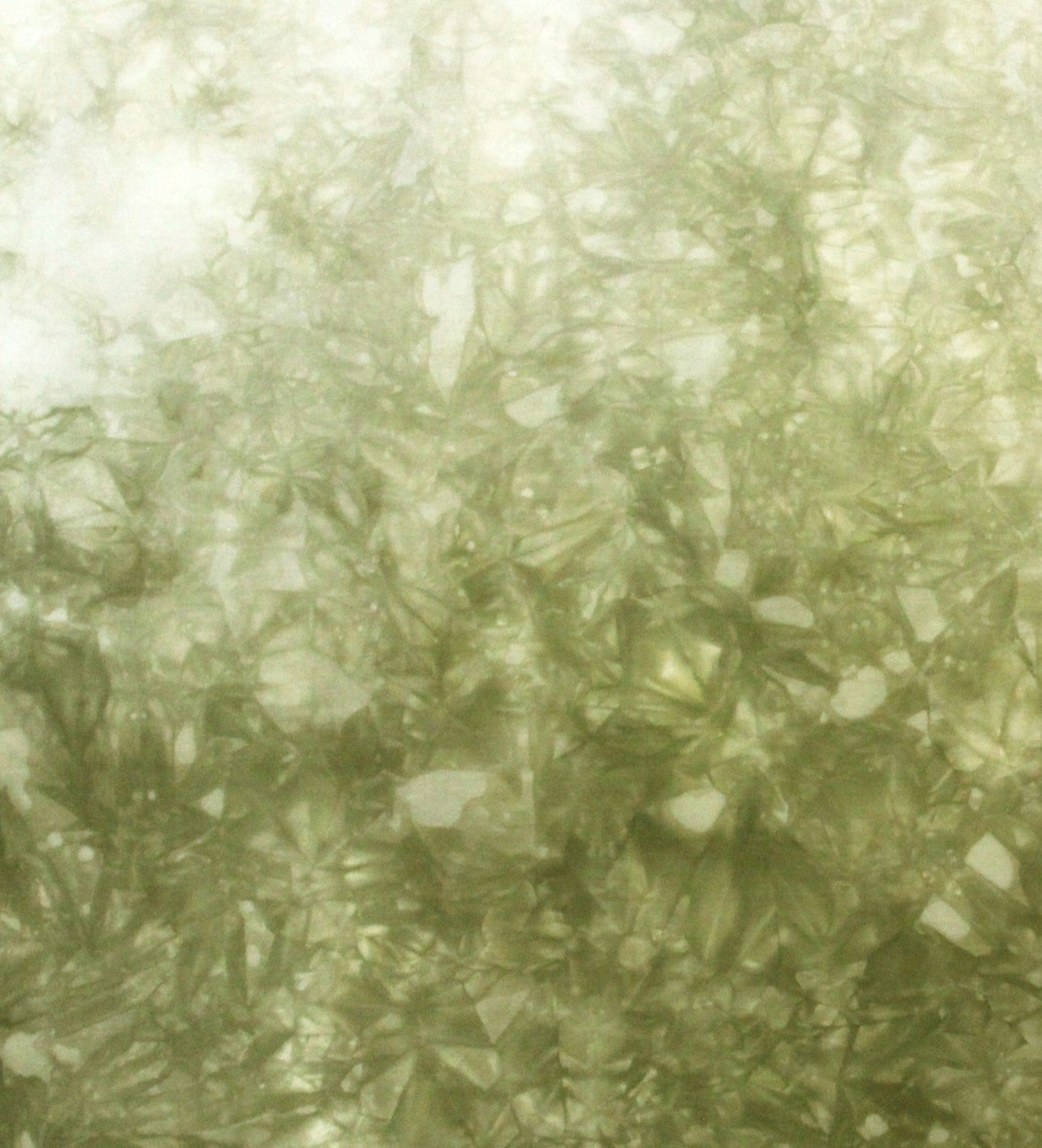 Hand dyed fabric gradient in olive green ombre color range | Etsy