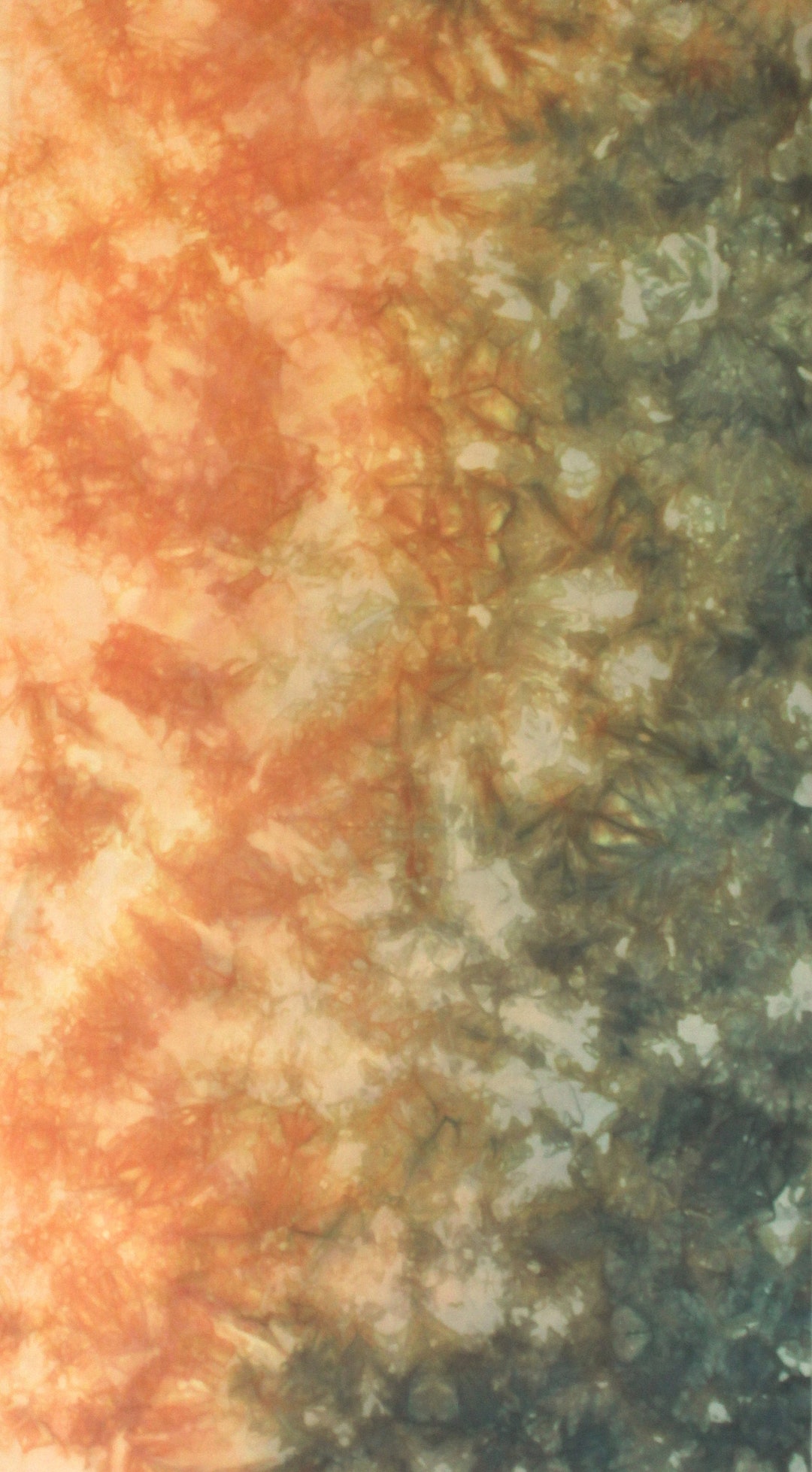 Hand Dyed Gradient From Peach to Sage on Quilt Cotton, Available as a ...