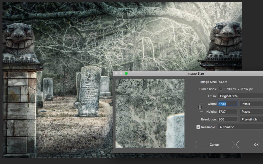 SALE Halloween Digital Background Cemetery Graveyard With - Etsy