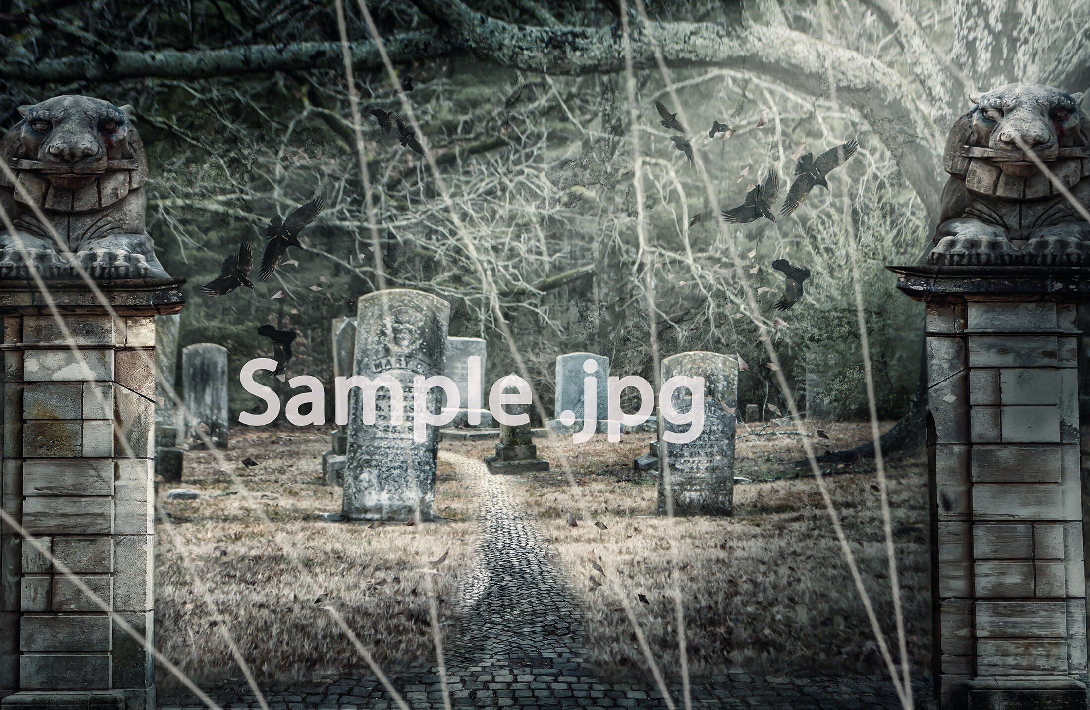 SALE! Halloween Digital Background Cemetery Graveyard With Spooky ...