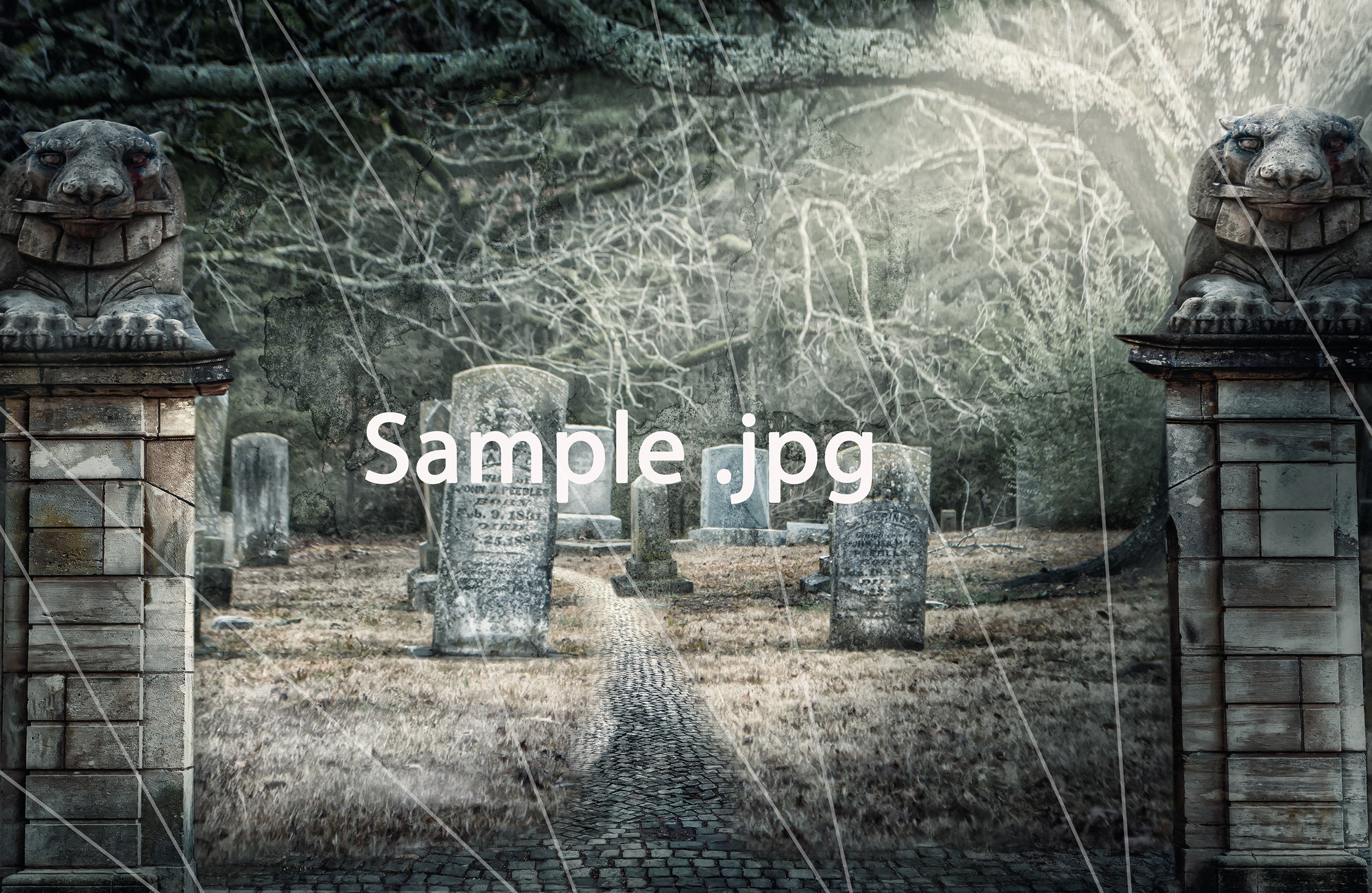 SALE! Halloween Digital Background Cemetery Graveyard With Spooky ...