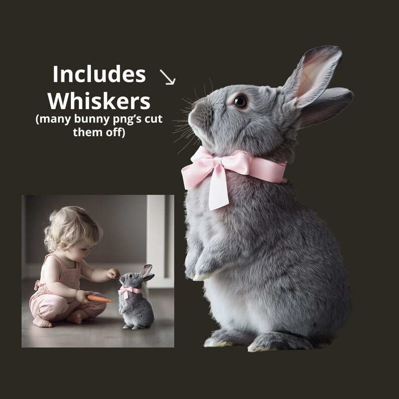 Grey Bunny Rabbit PNG Digital Overlay, Easter Bunny Cut Out Transparent ...