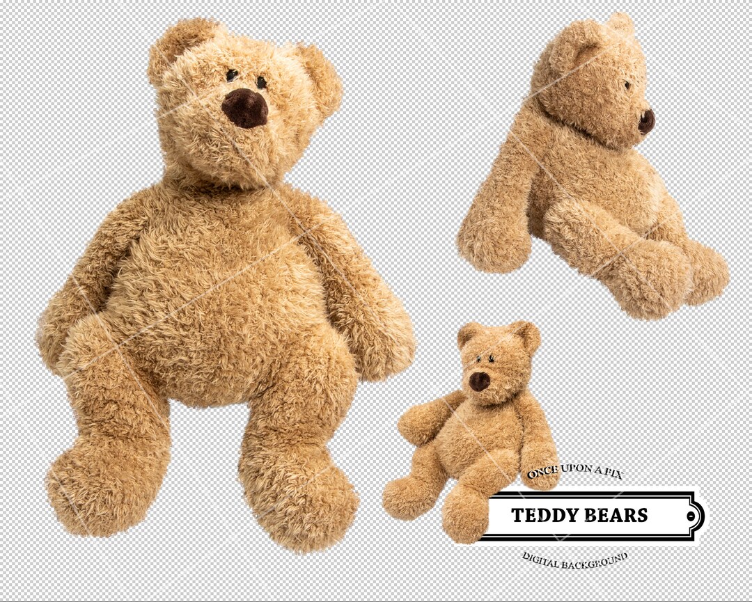 Teddy Bear Overlay Digital Png. Stuffed Animal Toys Digital Overlays ...