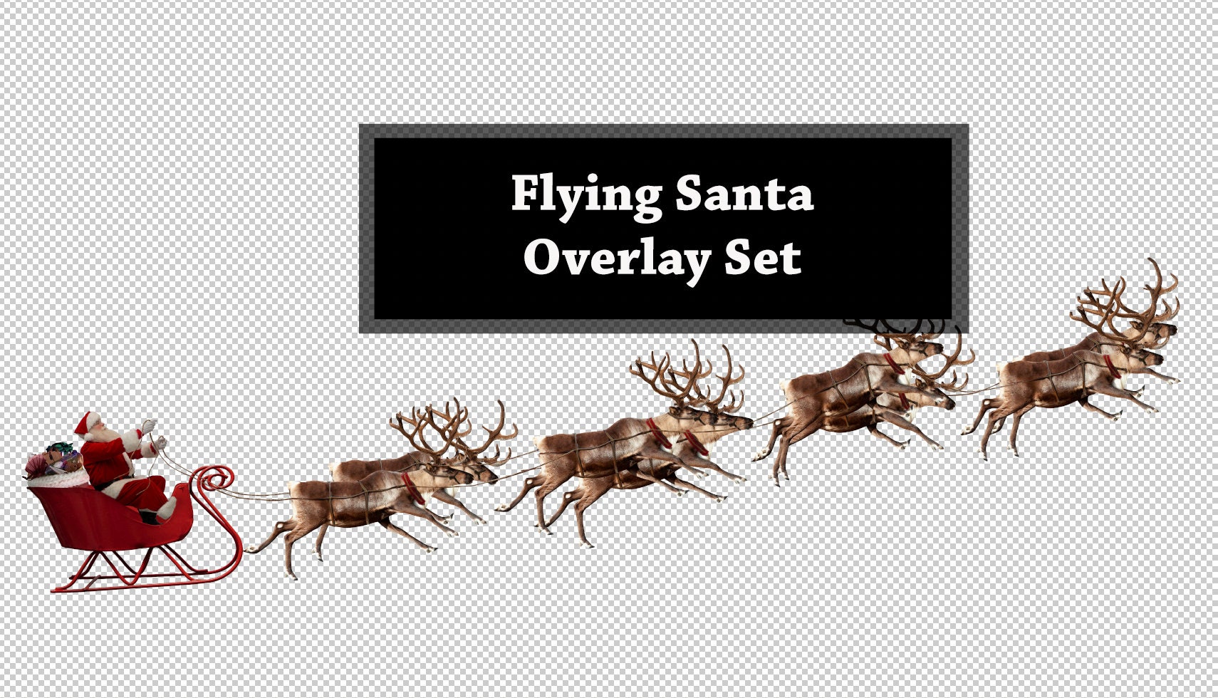 Real Reindeer Flying