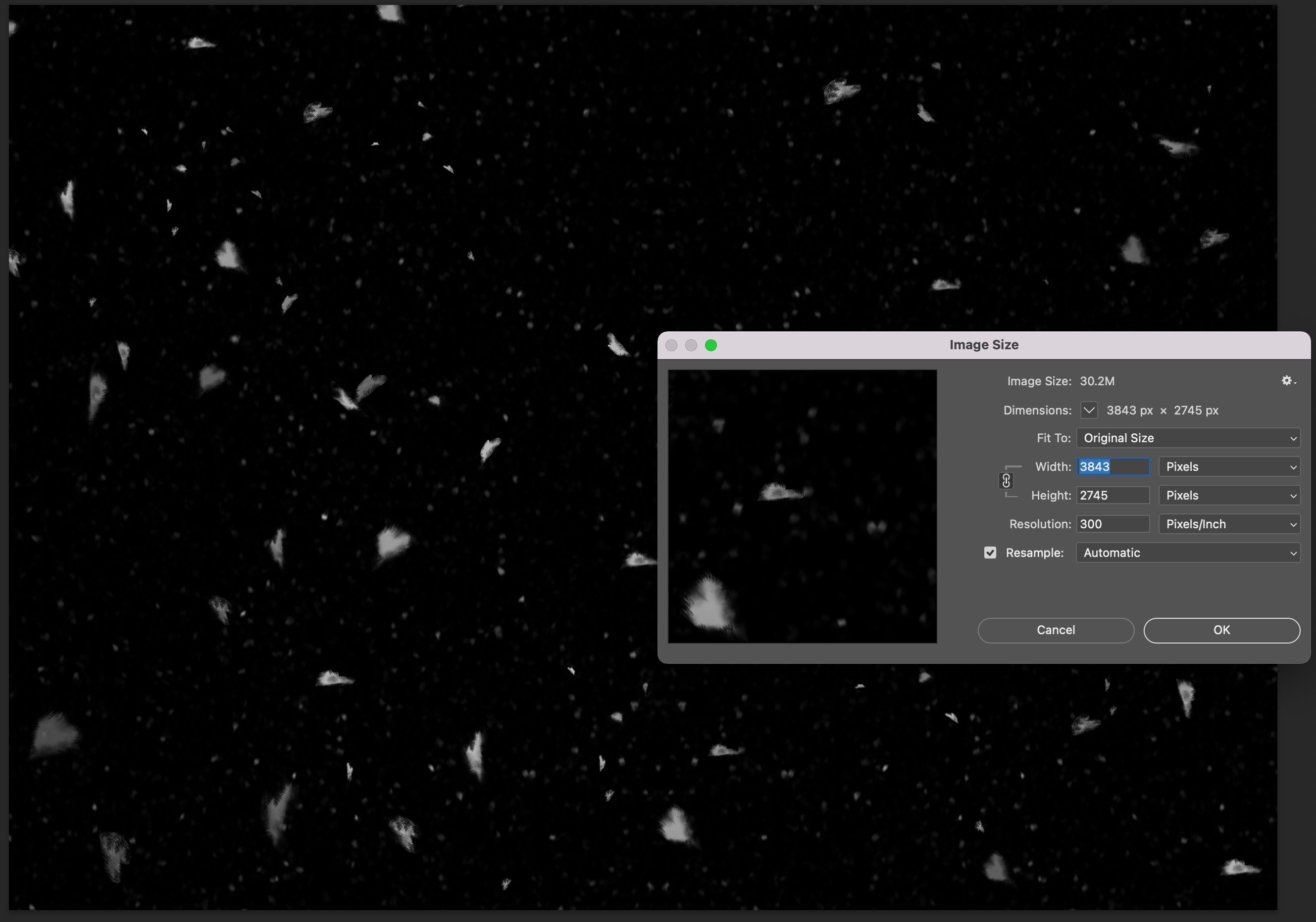 REAL Snow / Winter Photoshop Overlays, Falling Snow PNG, Winter Hats ...