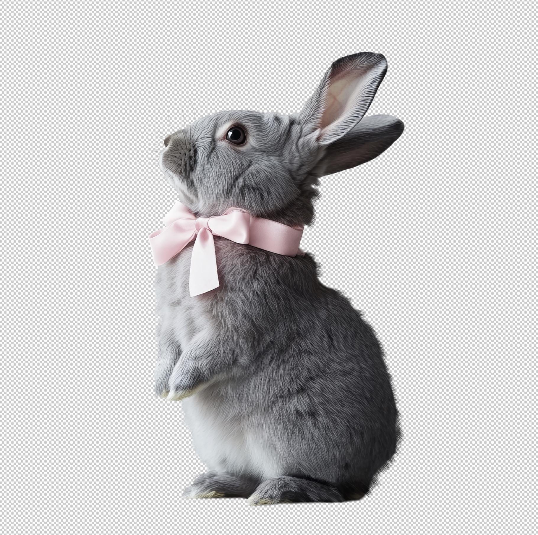 Grey Bunny Rabbit PNG Digital Overlay, Easter Bunny Cut Out Transparent ...