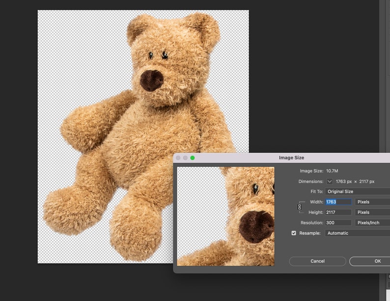 Teddy Bear Overlay Digital Png. Stuffed Animal Toys Digital - Etsy