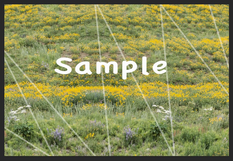 Spring Family Photo Digital Background With FLOWER Border OVERLAY ...