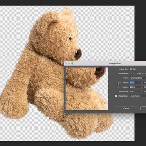 Teddy Bear Overlay Digital Png. Stuffed Animal Toys Digital Overlays ...