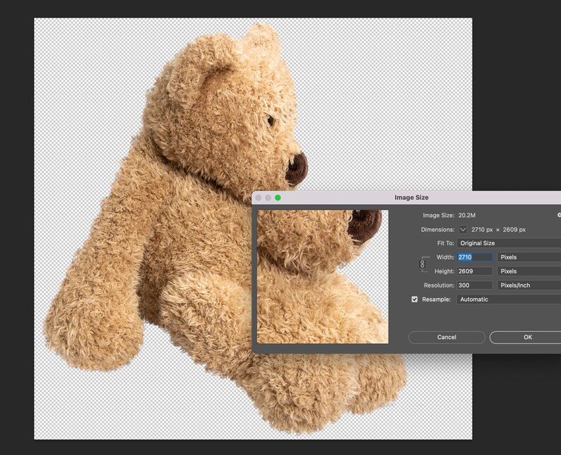 Teddy Bear Overlay Digital Png. Stuffed Animal Toys Digital Overlays ...