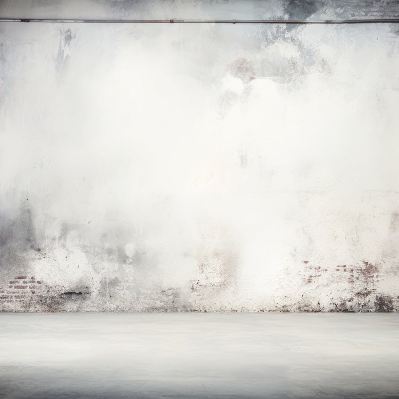 Old Masters Background Overlay - Etsy