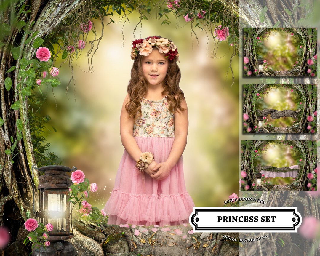 Pink Princess Background 3pk Digital Princess Backdrop Composite ...