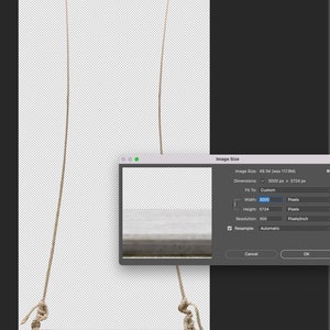 Large Digital Rope Swing PNG Photoshop Overlay Digital Wooden Board ...