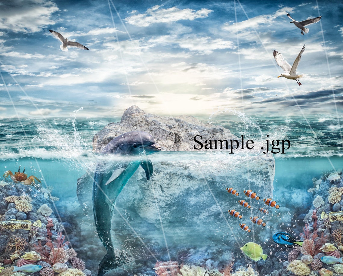 Mermaid Digital Background Dolphin Backdrop Whimsical - Etsy