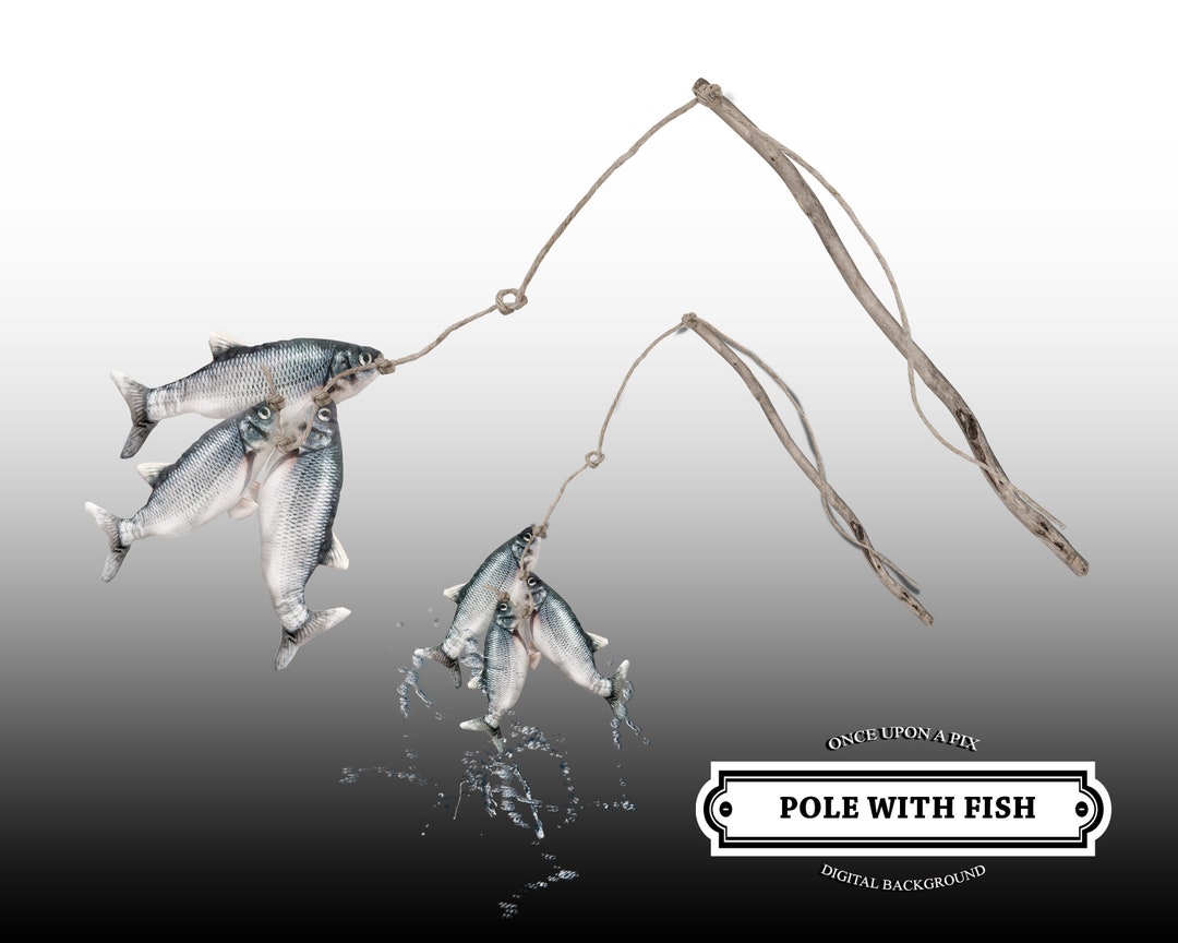 Fishing Pole Overlay Digital .PNG File With Attached Fish Cut-out ...