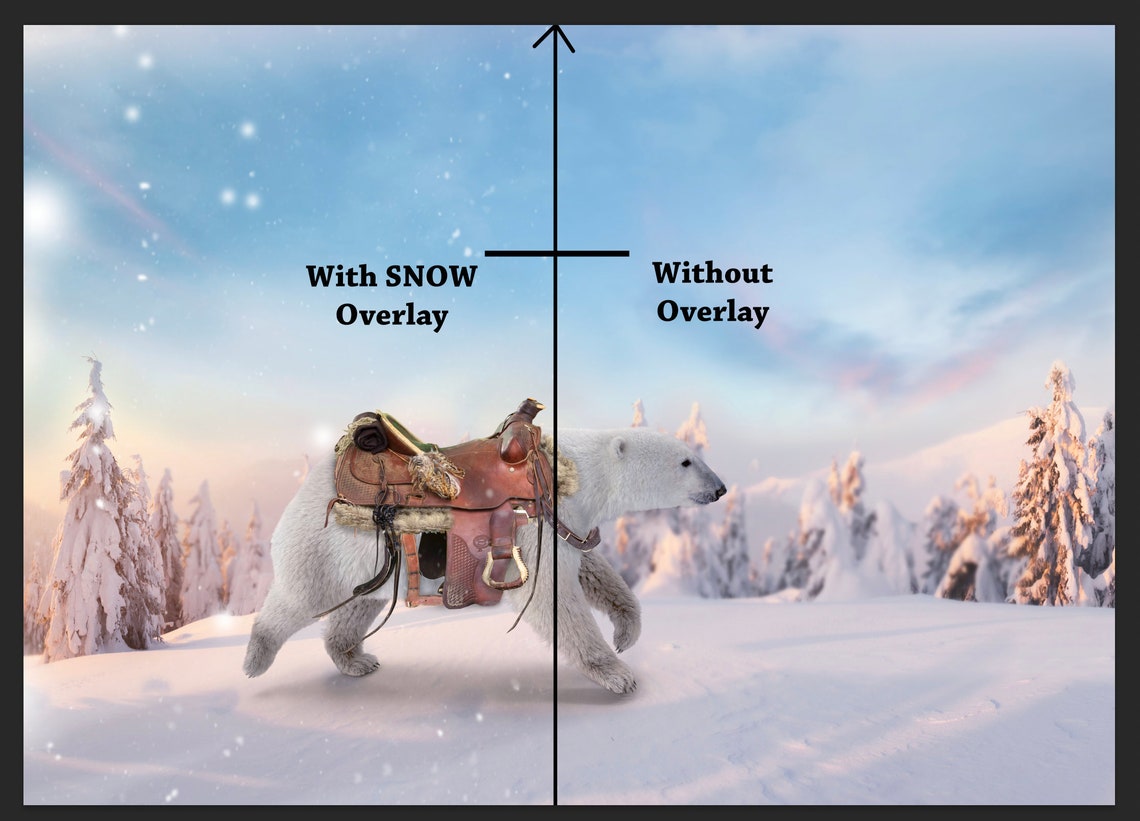 REAL Snow / Winter Photoshop Overlays, Falling Snow PNG, Winter Hats ...