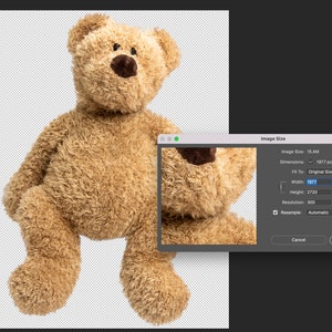 Teddy Bear Overlay Digital Png. Stuffed Animal Toys Digital Overlays ...