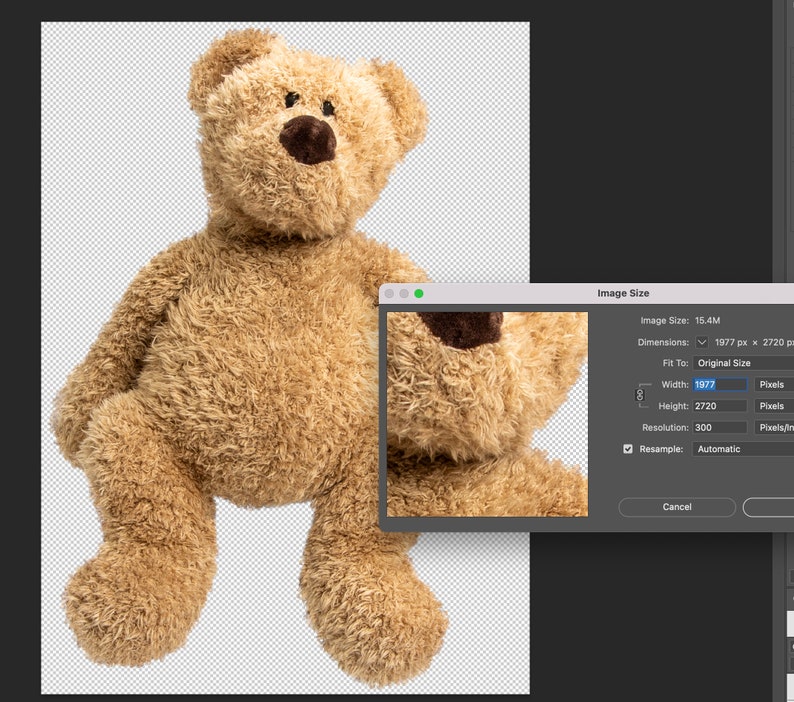 Teddy Bear Overlay Digital Png. Stuffed Animal Toys Digital Overlays ...