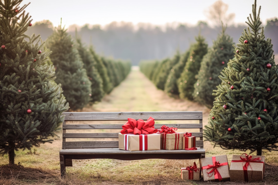 Digital Backdrop Christmas Tree Farm Present Background Sit Bench ...