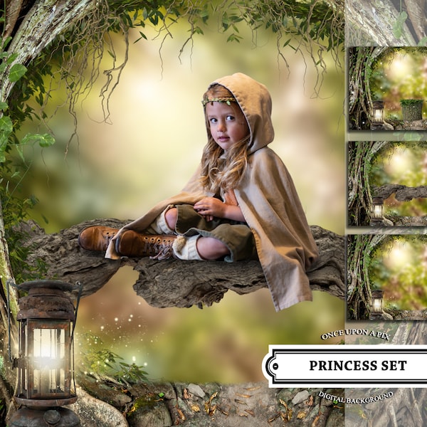 Fairy Forest Digital Backdrop - Etsy