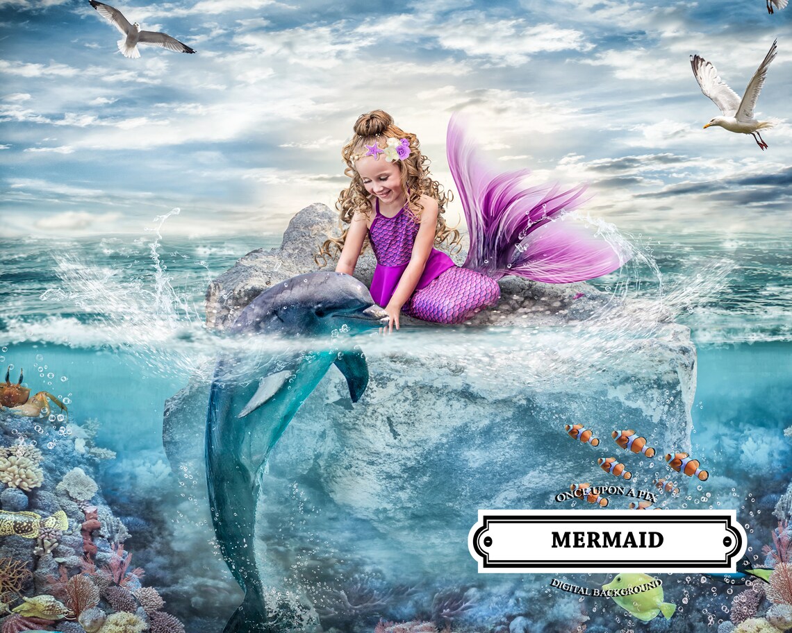 Mermaid Digital Background Dolphin Backdrop Whimsical - Etsy
