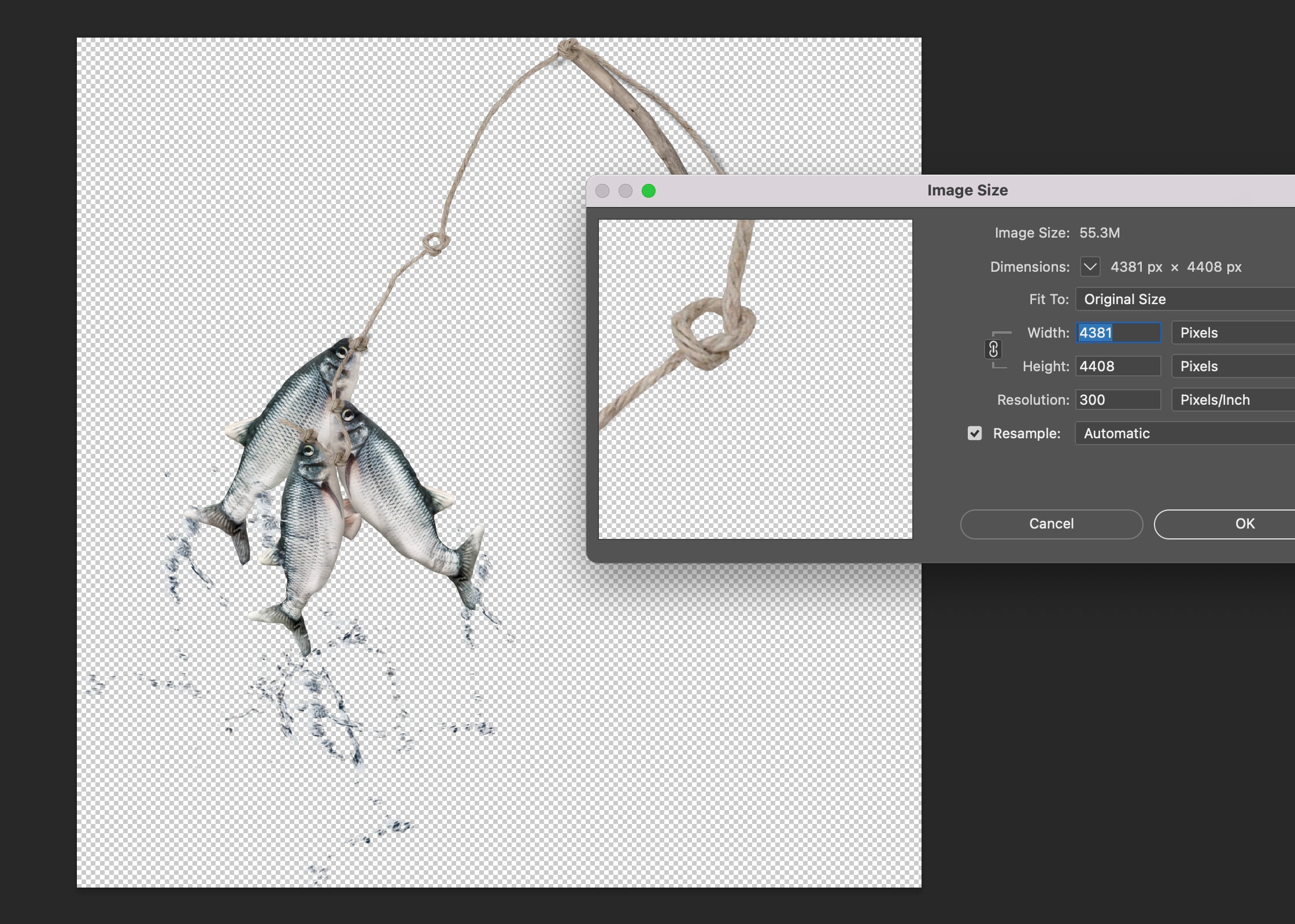 Fishing Pole Overlay Digital .PNG File With Attached Fish - Etsy