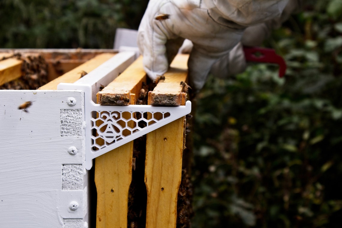 Pocket Sized 2 Frame Bee Hive Frame Holder for Beekeeping - Etsy