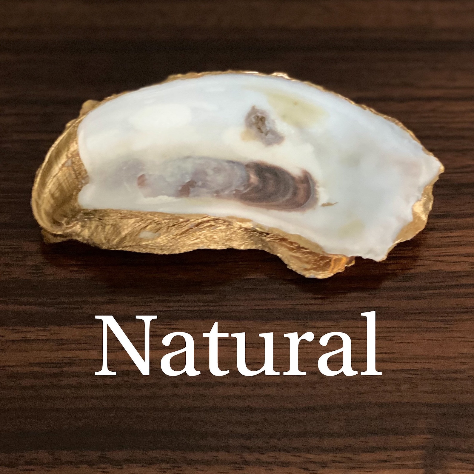 Hand Gilded Decorative Oyster Shell - Etsy