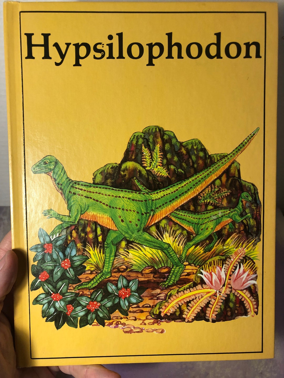 Vintage Rourke Enterprises Dinosaur Hardcover Book Hypsilophodon 1980s ...