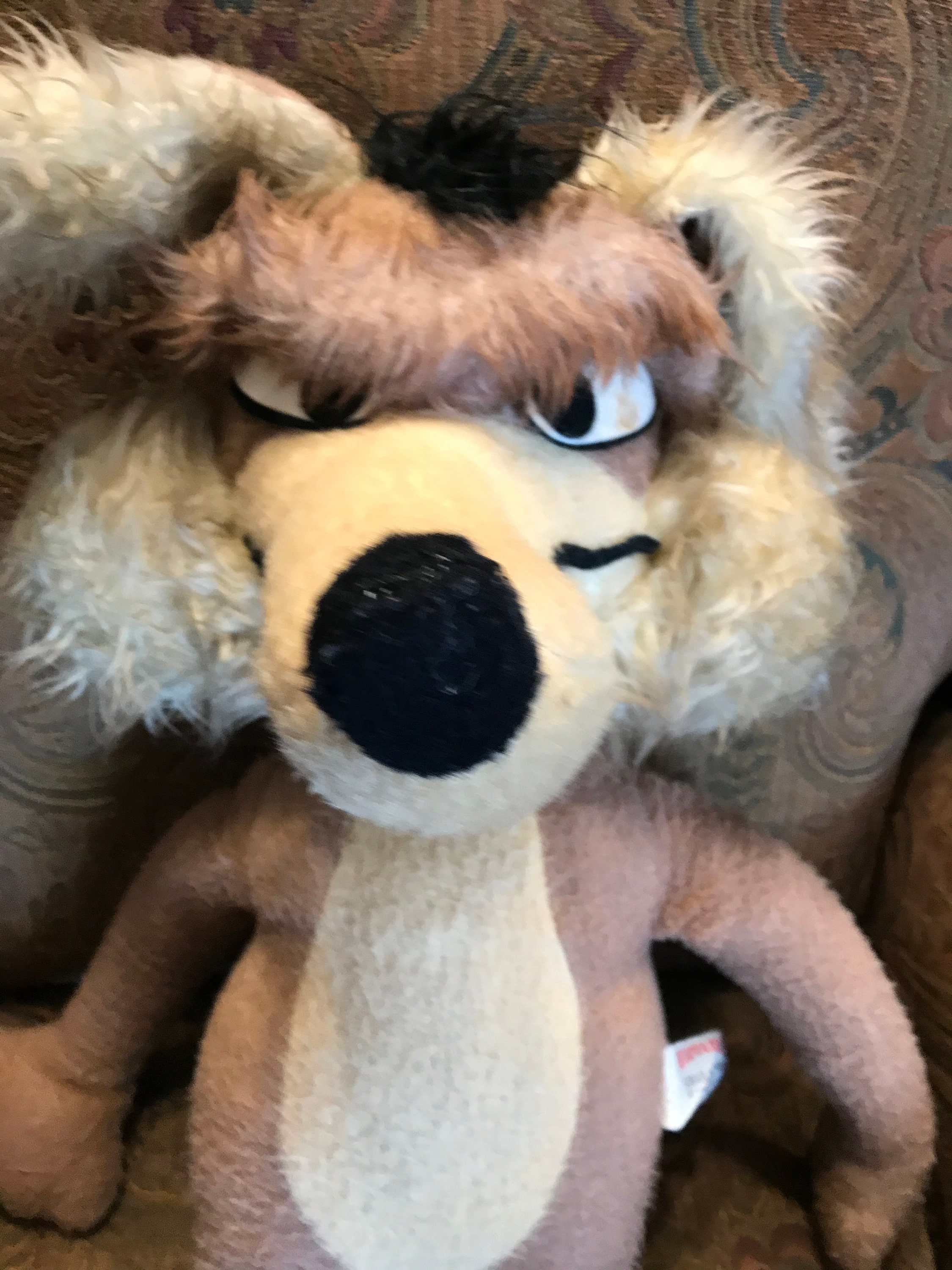 Vintage Large Looney Tunes Wile E. Coyote Plush Stuffed Animal Warner Bros USED 1971 Mighty Star WB Looney Tunes Plush Etsy UK