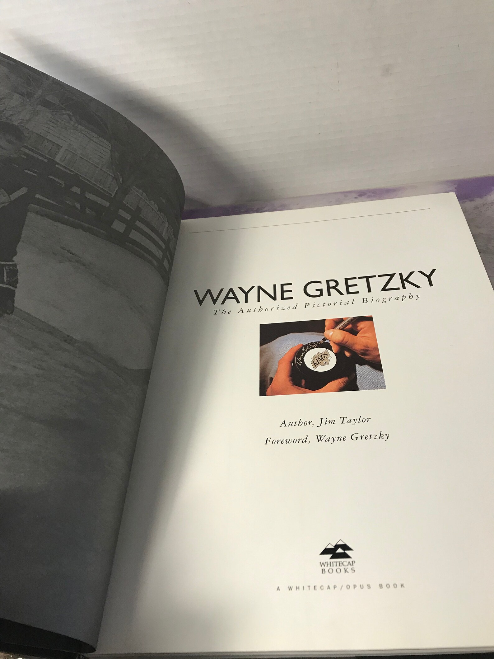Vintage Wayne Gretzky:authorized Pictorial Biography~jim Taylor ~1994 ...