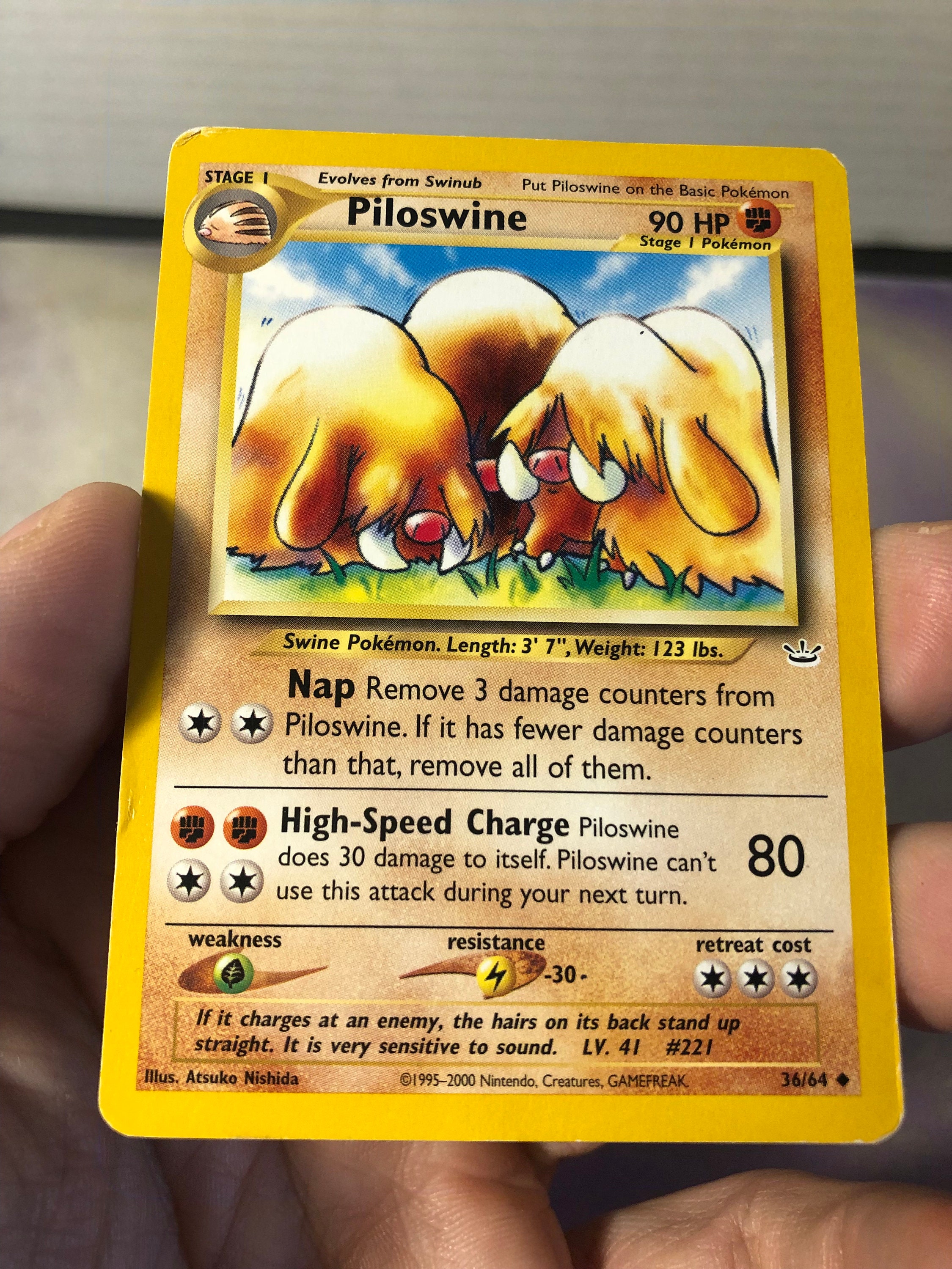 Piloswine Card