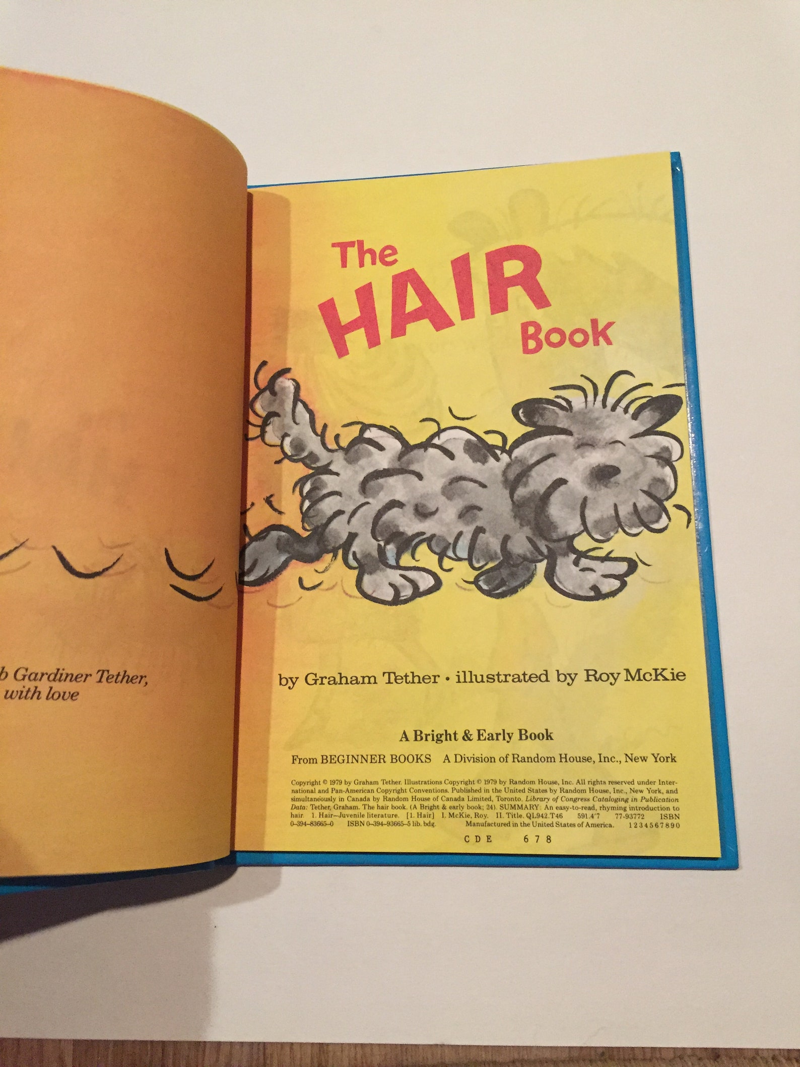 Vintage Dr. Seuss The Hair Book beginner Book Dr. Seuss | Etsy
