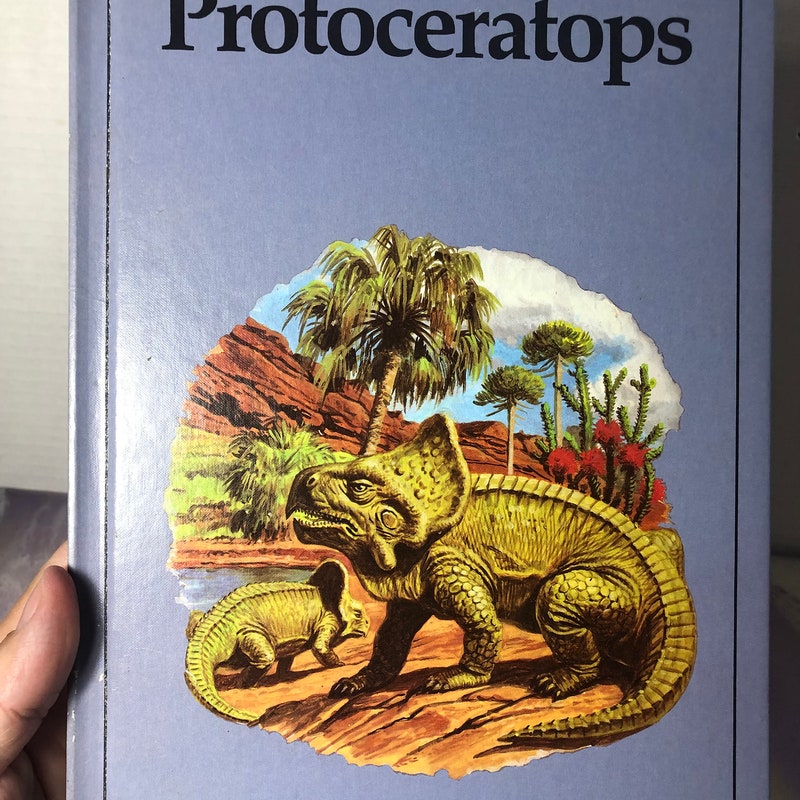 Dinosaurs Book - Etsy