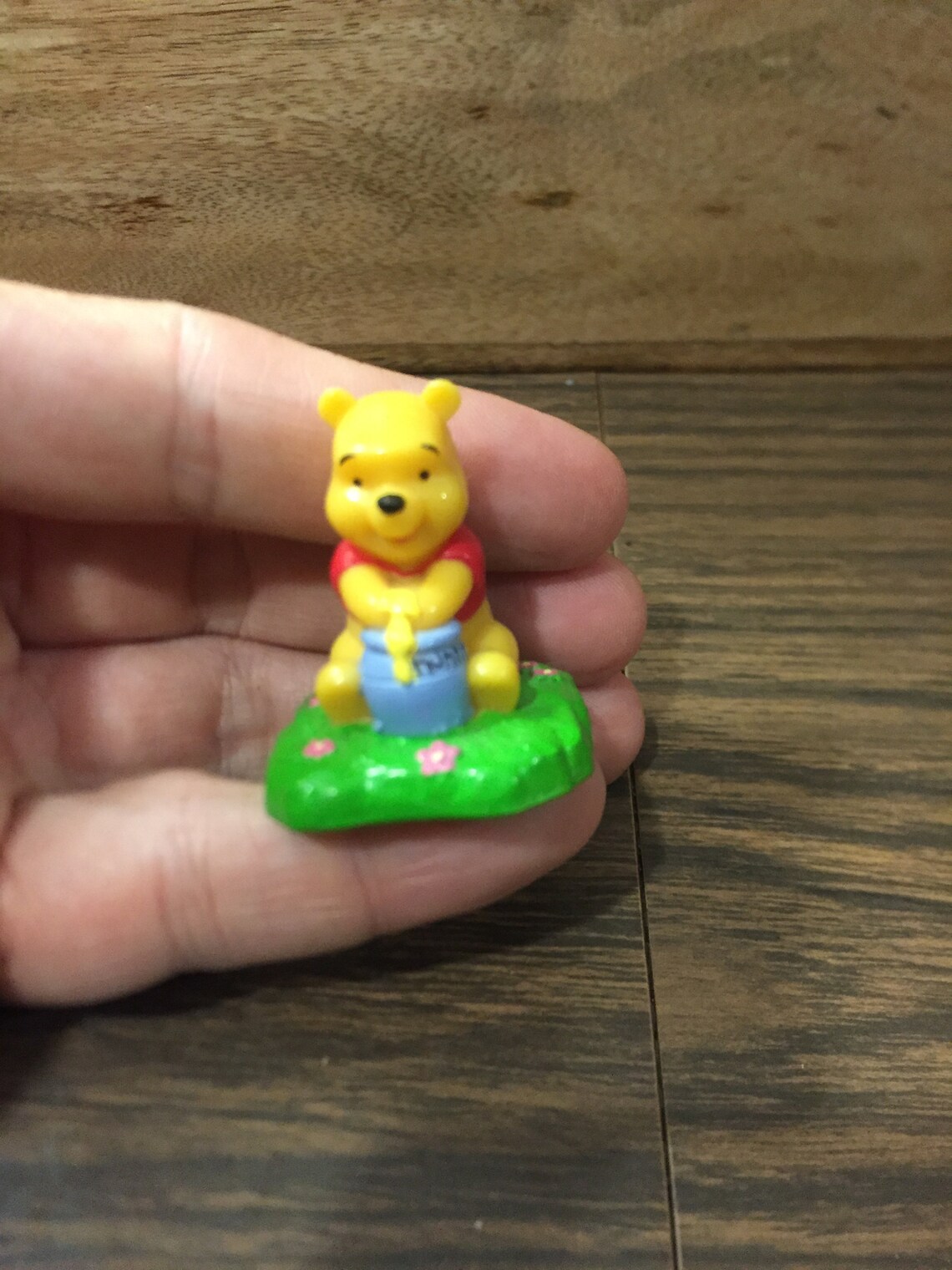 Vintage Winnie the Pooh Winnie the Pooh Sitting in Grass PVC | Etsy