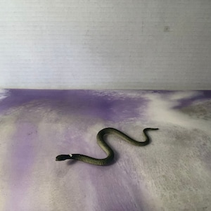 Vintage Made in China Rubber Toy Rubber Small Green Snake Made in China ...