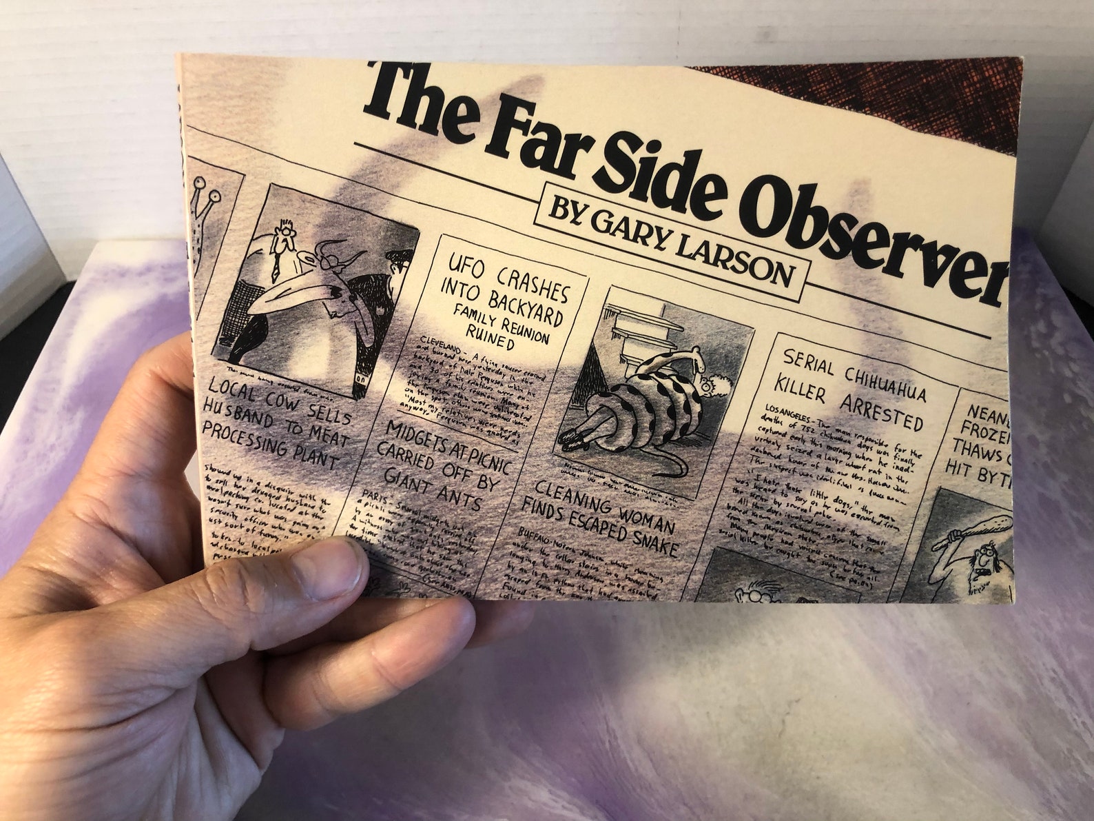 Vintage the FAR SIDE OBSERVER by Gary Larson the 8th - Etsy