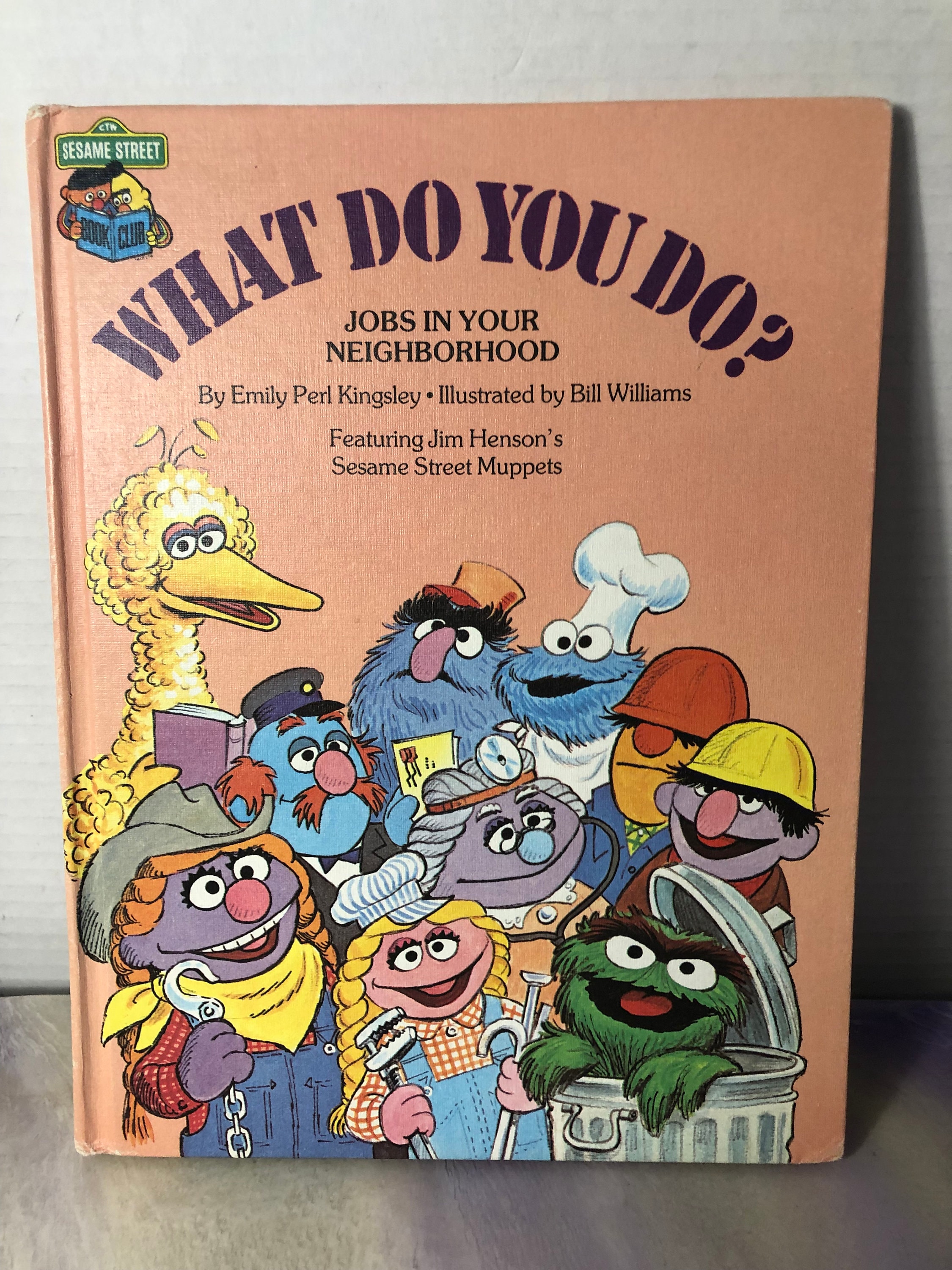 Vintage Kids the Sesame Street Book what Do You - Etsy