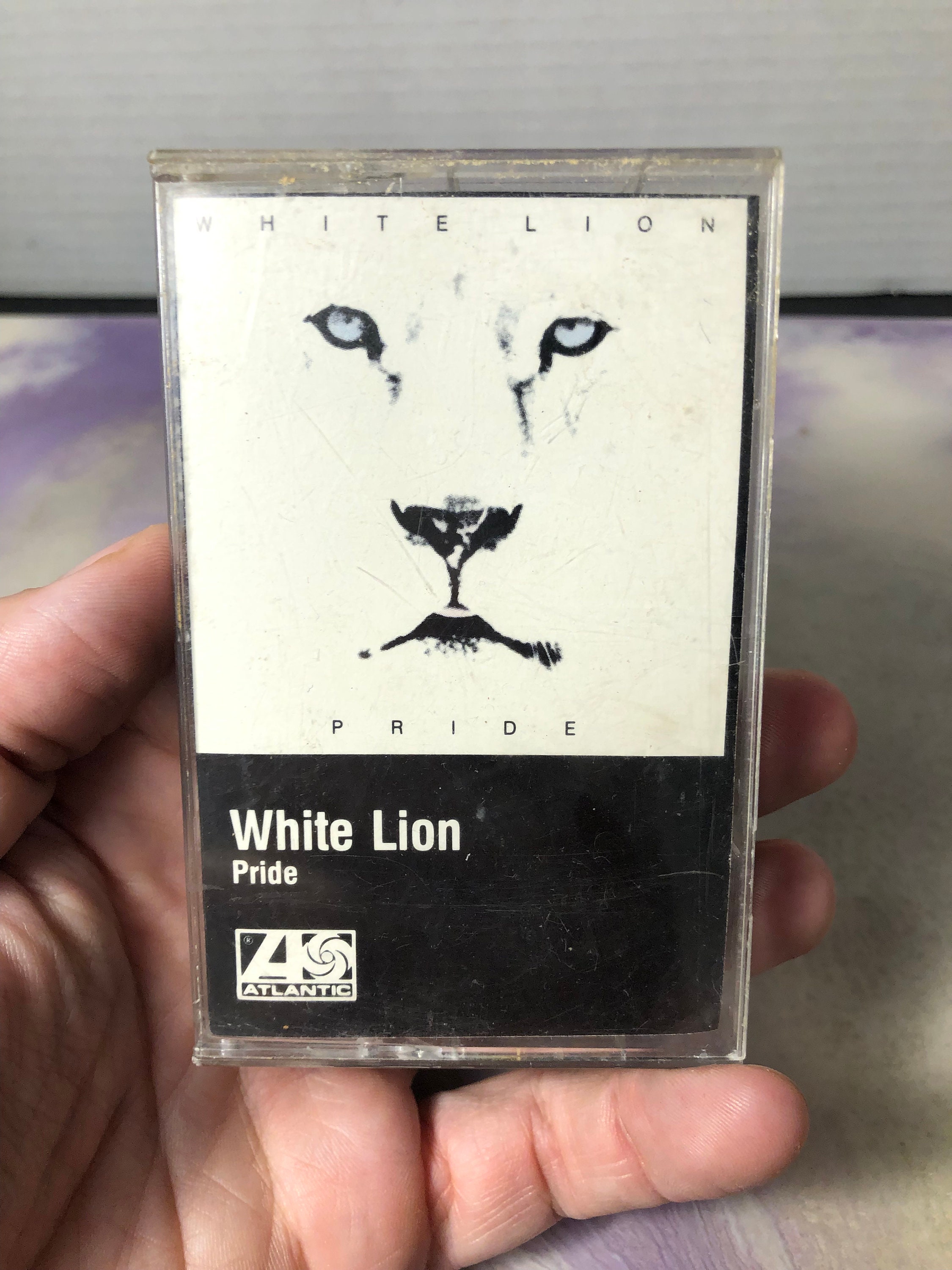 White Lion Pride Album