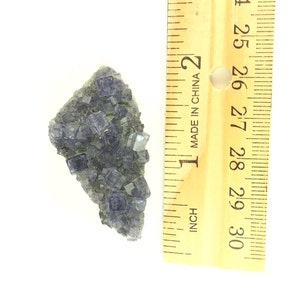 Fluorite and Quartz With Chlorite, Joe Larkin's Quarry, Ireland (F006 ...