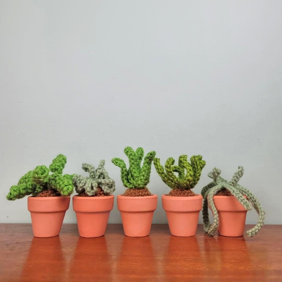 Pixie Plants- 5 Patterns! [PDF PATTERN] - Crochet Home Decor - Beginner ...