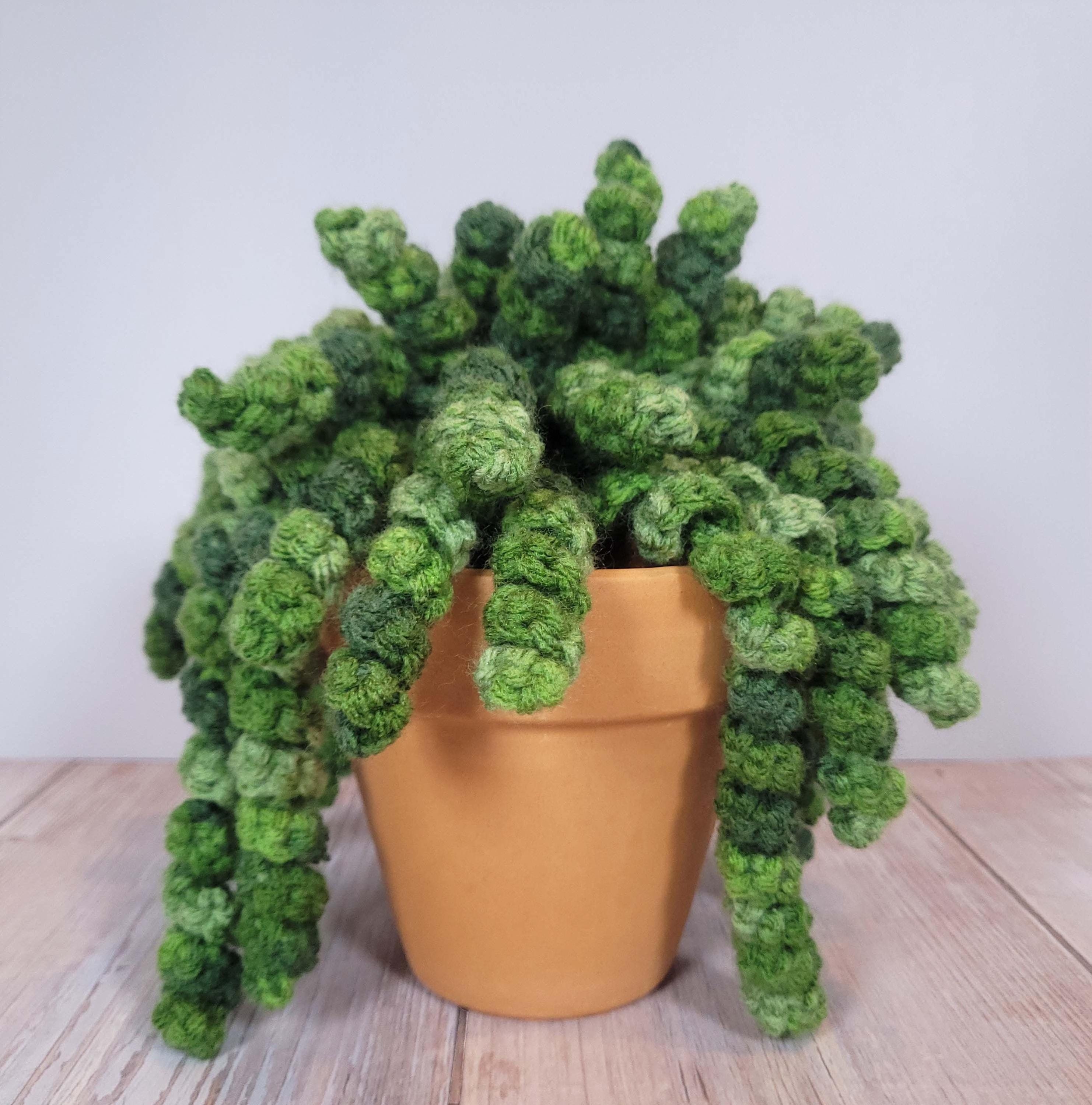 Cute Curlicue Plant [PDF PATTERN] - Crochet Decor - Quick and Easy ...