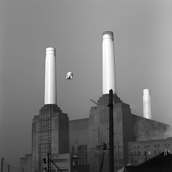 Pink Flying Pig - Etsy