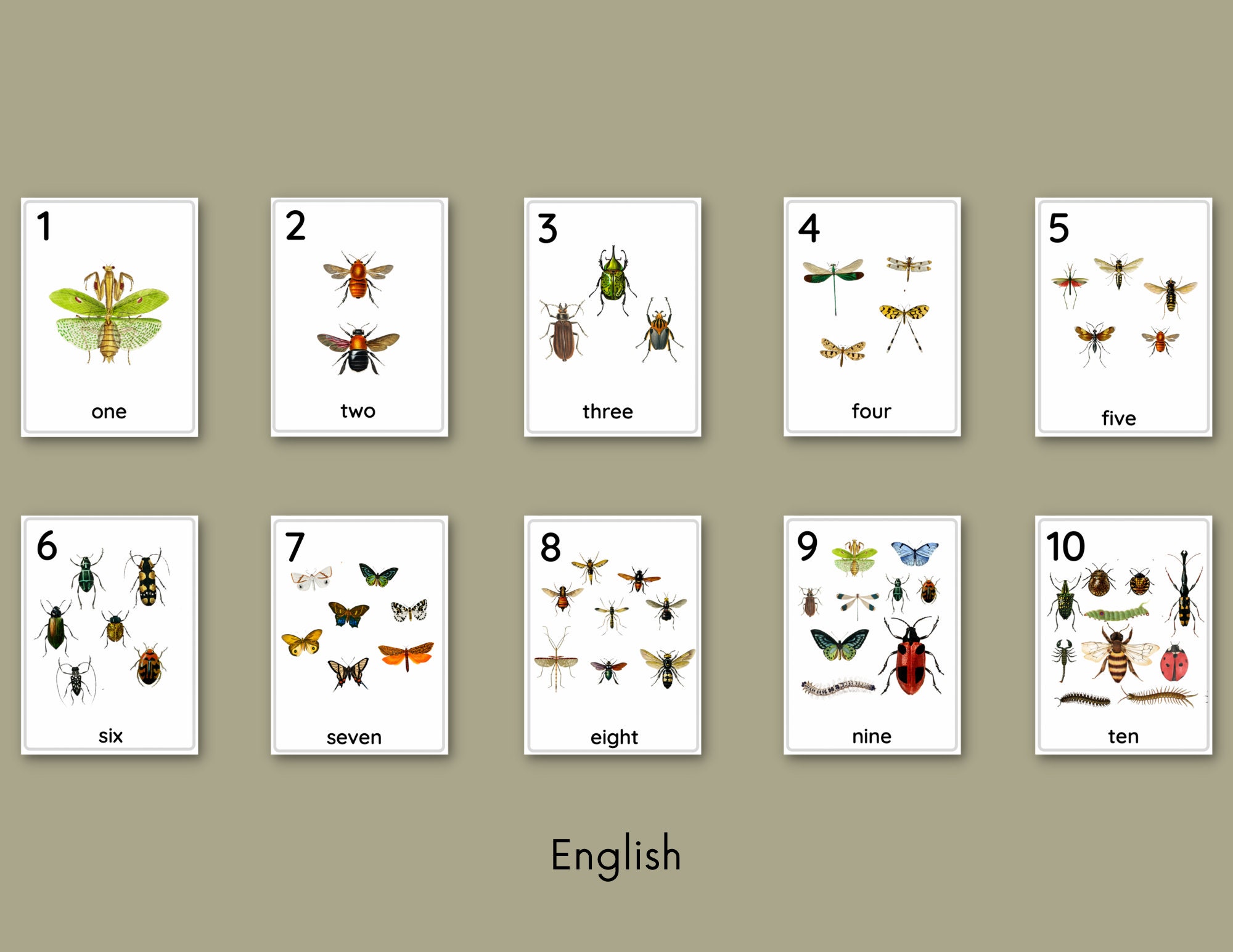 Printable Number Flashcards Bilingual Education Montessori Insects ...