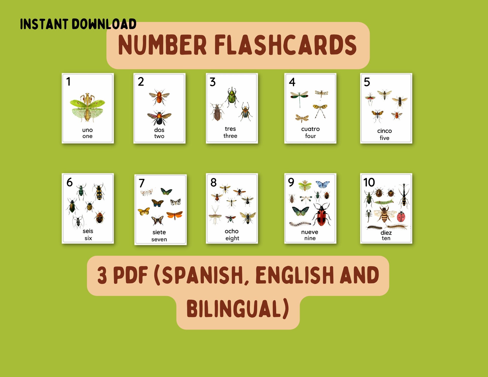Printable Number Flashcards Bilingual Education Montessori Insects ...