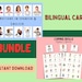 BUNDLE Coping Skills in English and Spanish for Kids and Emotions Cards ...