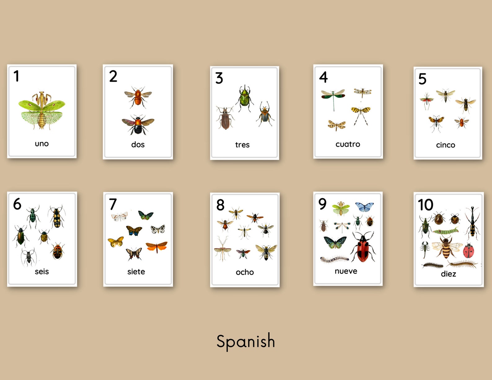 Printable Number Flashcards Bilingual Education Montessori Insects ...